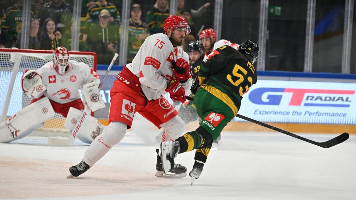 Věřím, že uspějeme. Na hráčích vidím velkou chuť, říká před play off ...
