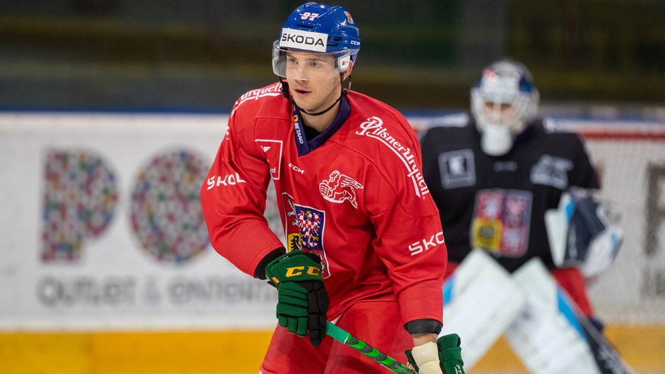 Frustrující, mrzelo mě to. Mašín o zavřených dveřích do NHL i české ...