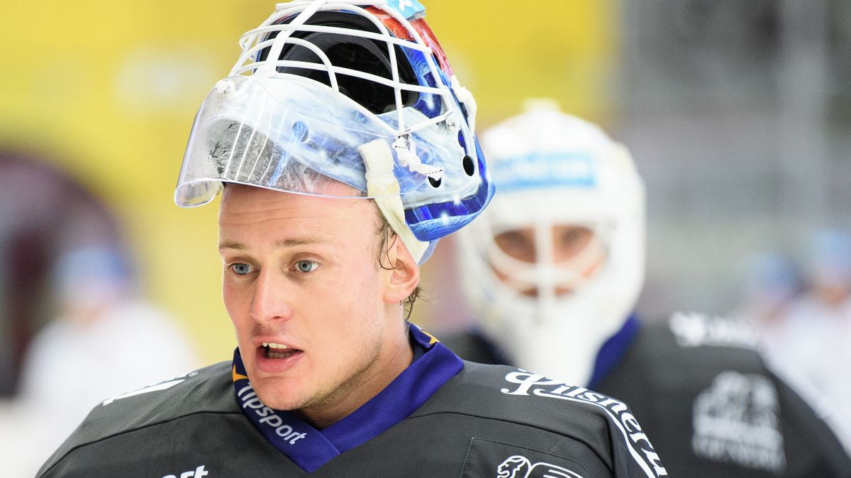 NHL | Bolest vystřídalo štěstí. Český gólman se raduje ze synka i z ...