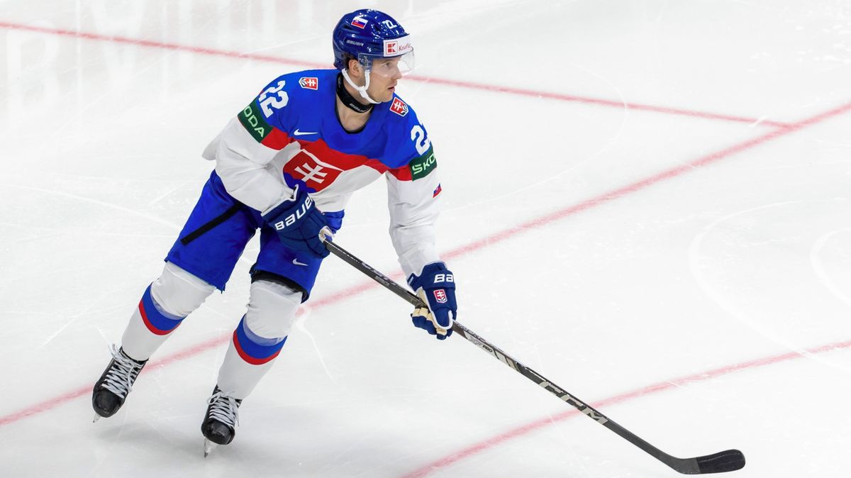 Defenzivu hokejových Vítkovic posílil olympijský medailista - Sport.cz